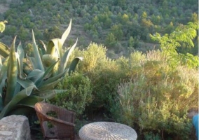 Son Rullan - Deià (Mallorca)